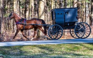 Do Amish People Drink Alcohol? - Christianity FAQ