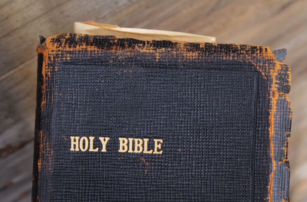 What Does Meek Mean In the Bible? - Christianity FAQ